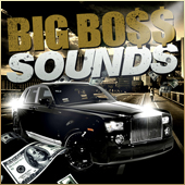 A review of Big Boss Sounds from Motion Samples